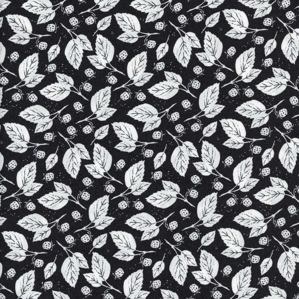 Moda Midnight in The Garden – Brown's Craft Shed