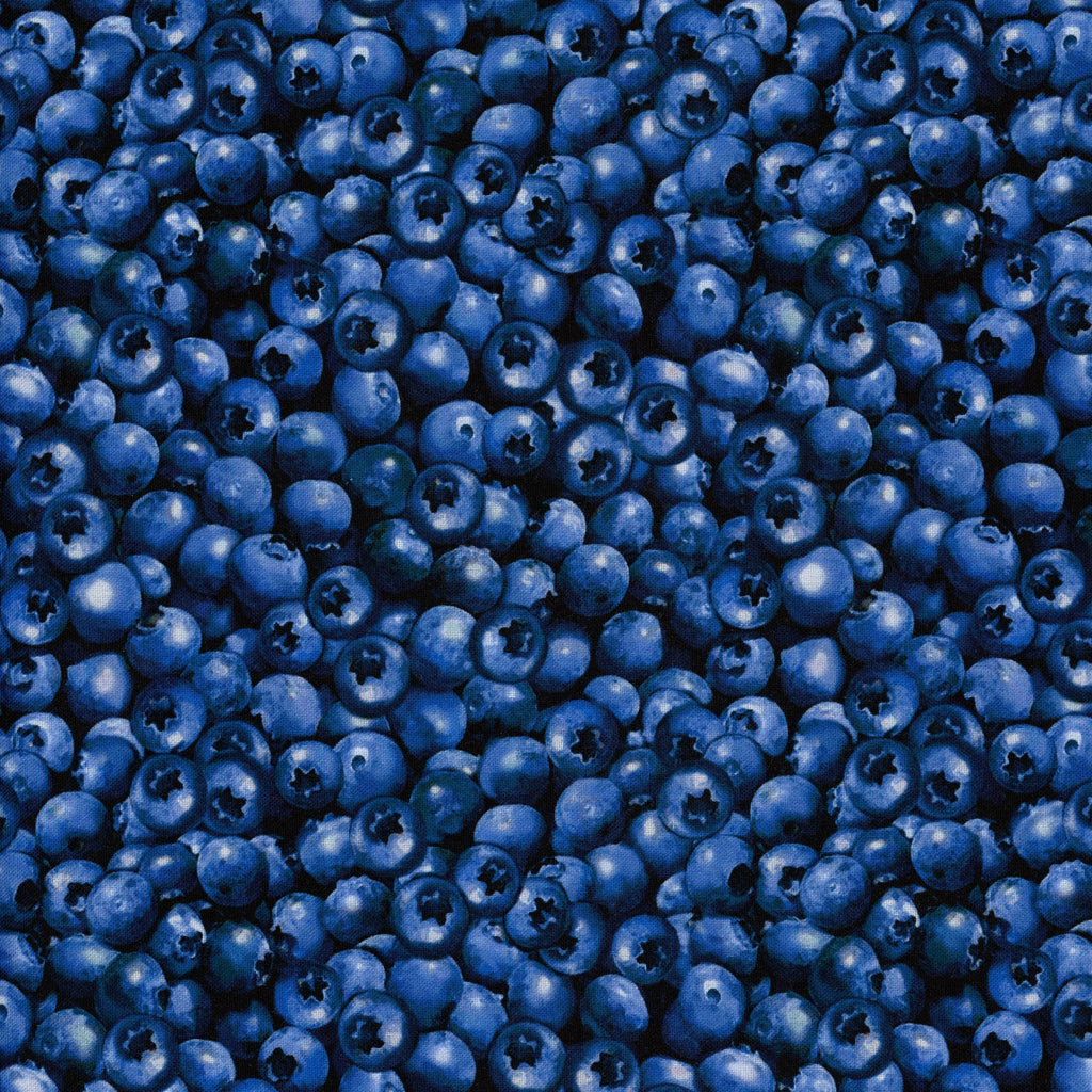 Benartex Packed Blueberries (Blue) – Brown's Craft Shed